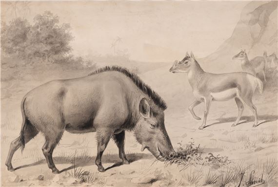 Joseph Smit | Elotherium and Protoceras | MutualArt