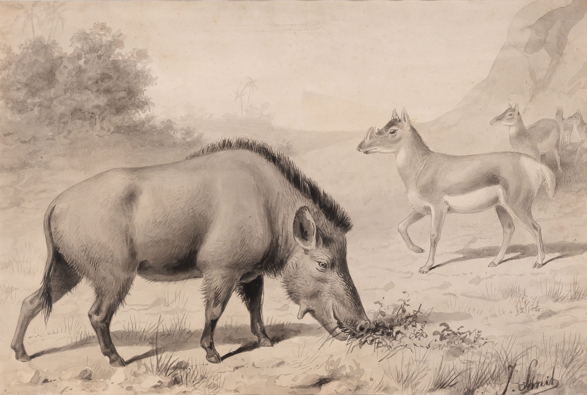 Joseph Smit | Elotherium and Protoceras | MutualArt