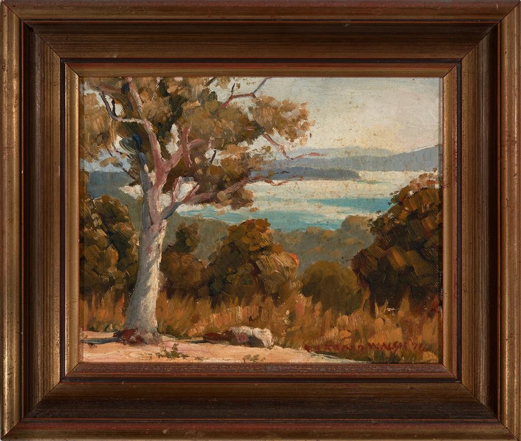 Bernard Walsh | Overlooking Lake Macquarie (1976) | MutualArt