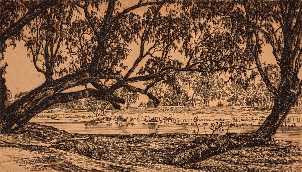Alfred Edward Warner | Casuarina Trees on the Murray River, 's (1920 ...
