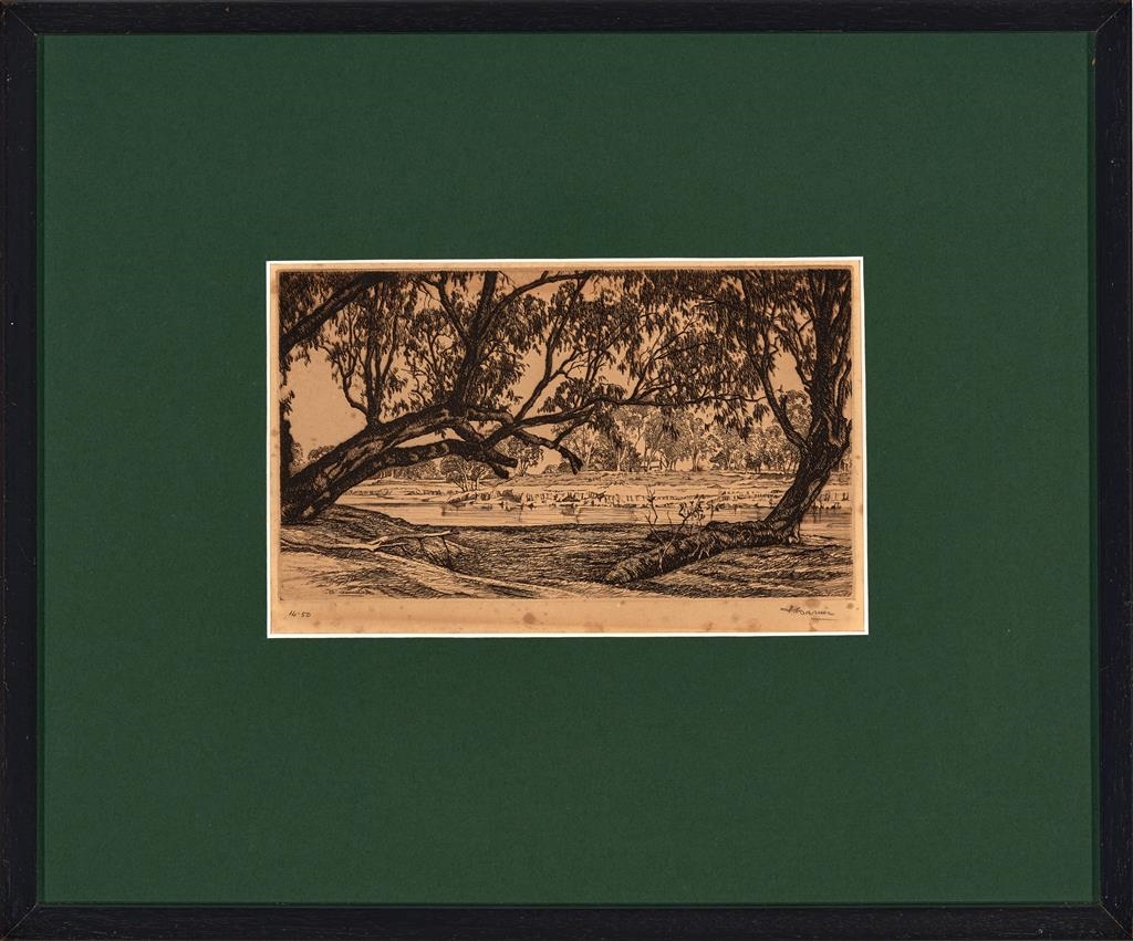 Alfred Edward Warner | Casuarina Trees on the Murray River, 's (1920 ...