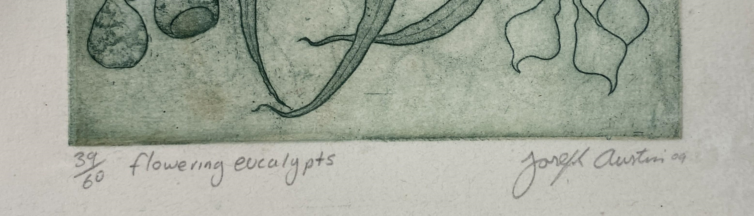 Joseph Austin | Flowering Eucalypts (2009) | MutualArt