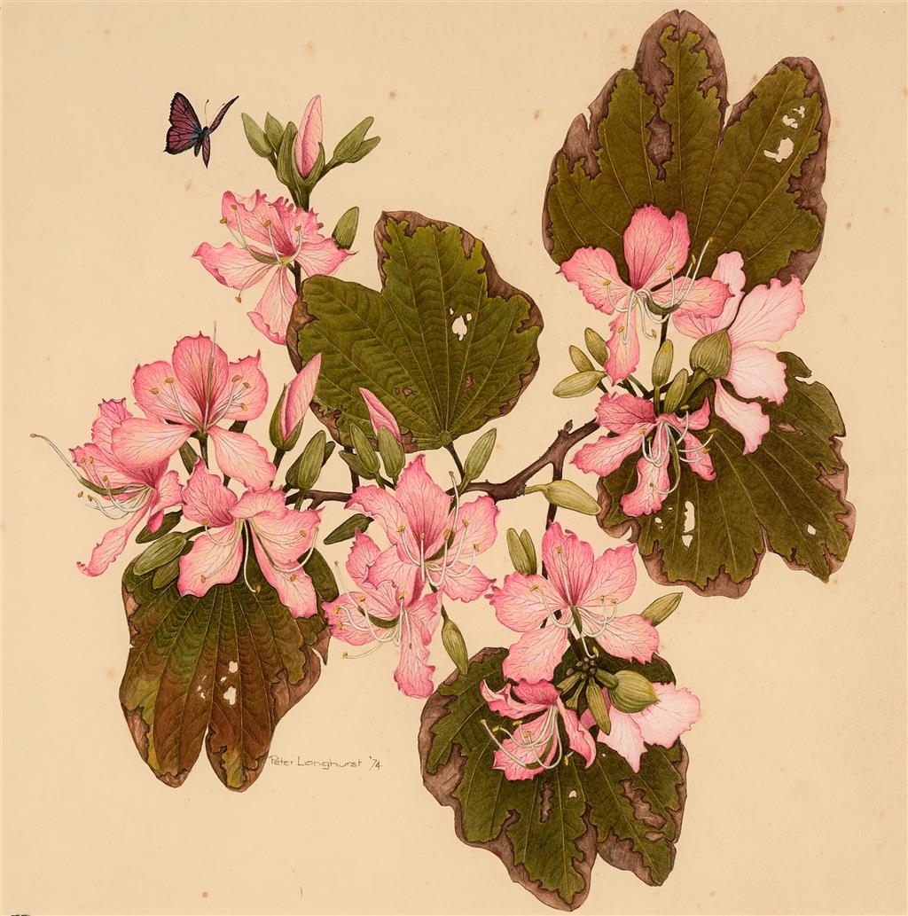 Peter Longhurst | The Maidenhair Tree with Peacock Butterfly (1974 ...