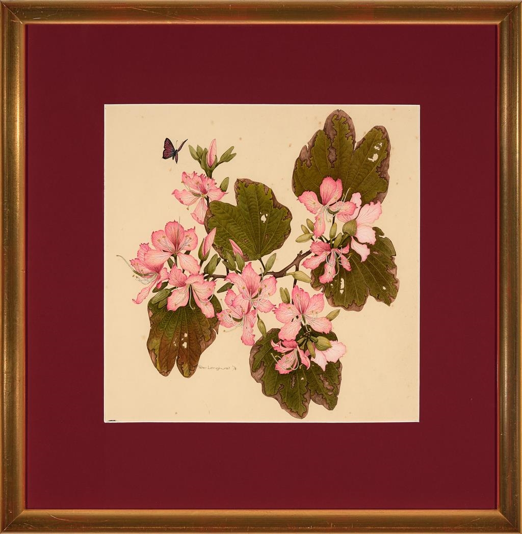 Peter Longhurst | The Maidenhair Tree with Peacock Butterfly (1974 ...