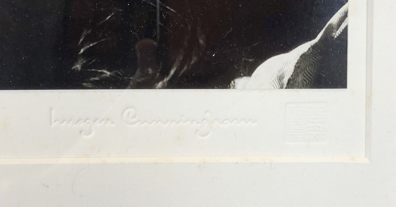 Imogen Cunningham | Martha Graham | MutualArt