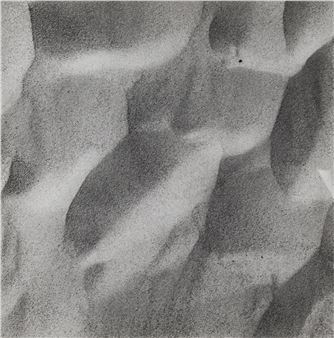 Harry Callahan | multiple exposure, tree, chicago | MutualArt