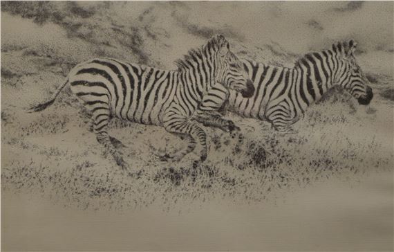 William Baker | Zebra | MutualArt