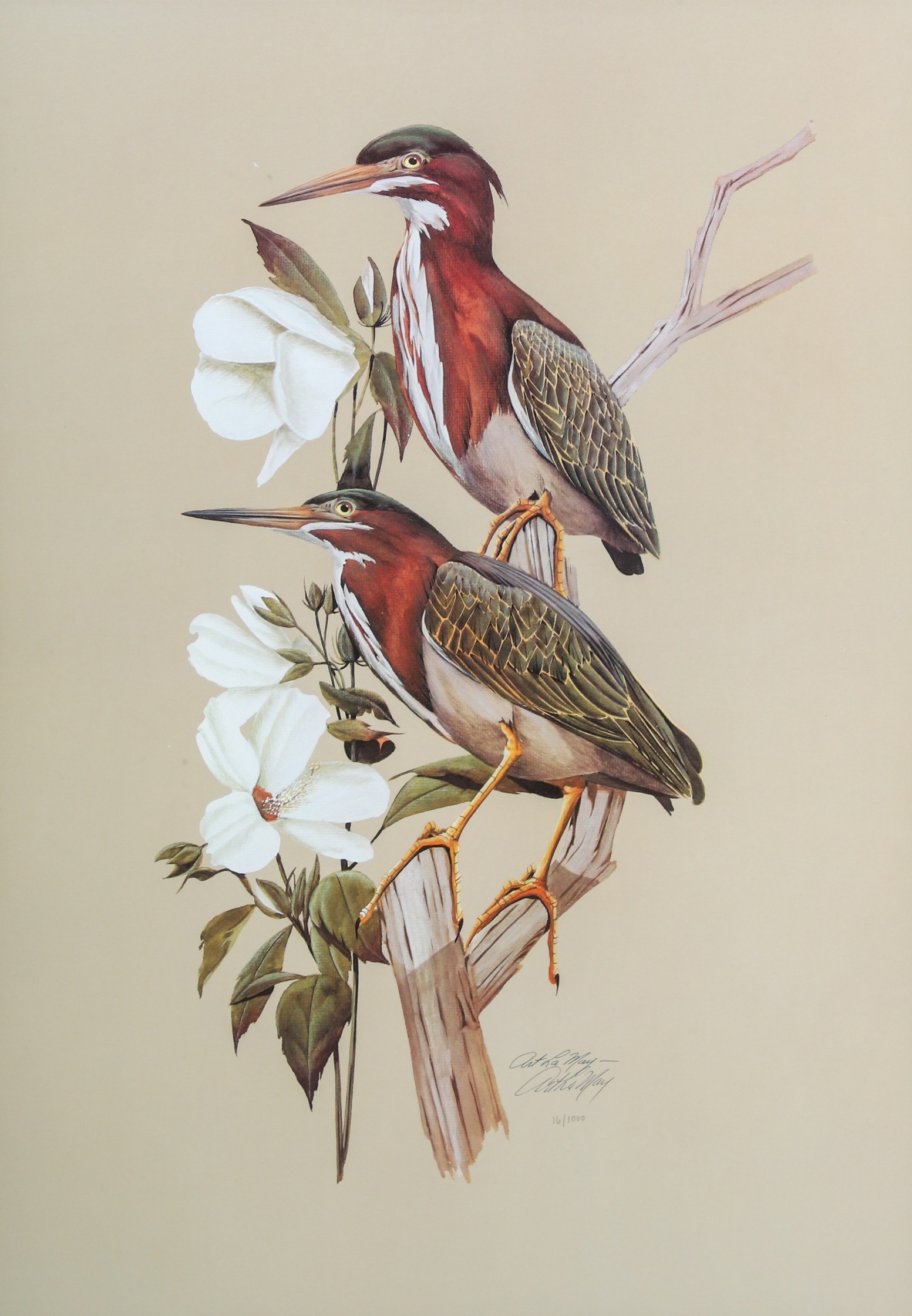 Art Lamay | framed bird print | MutualArt