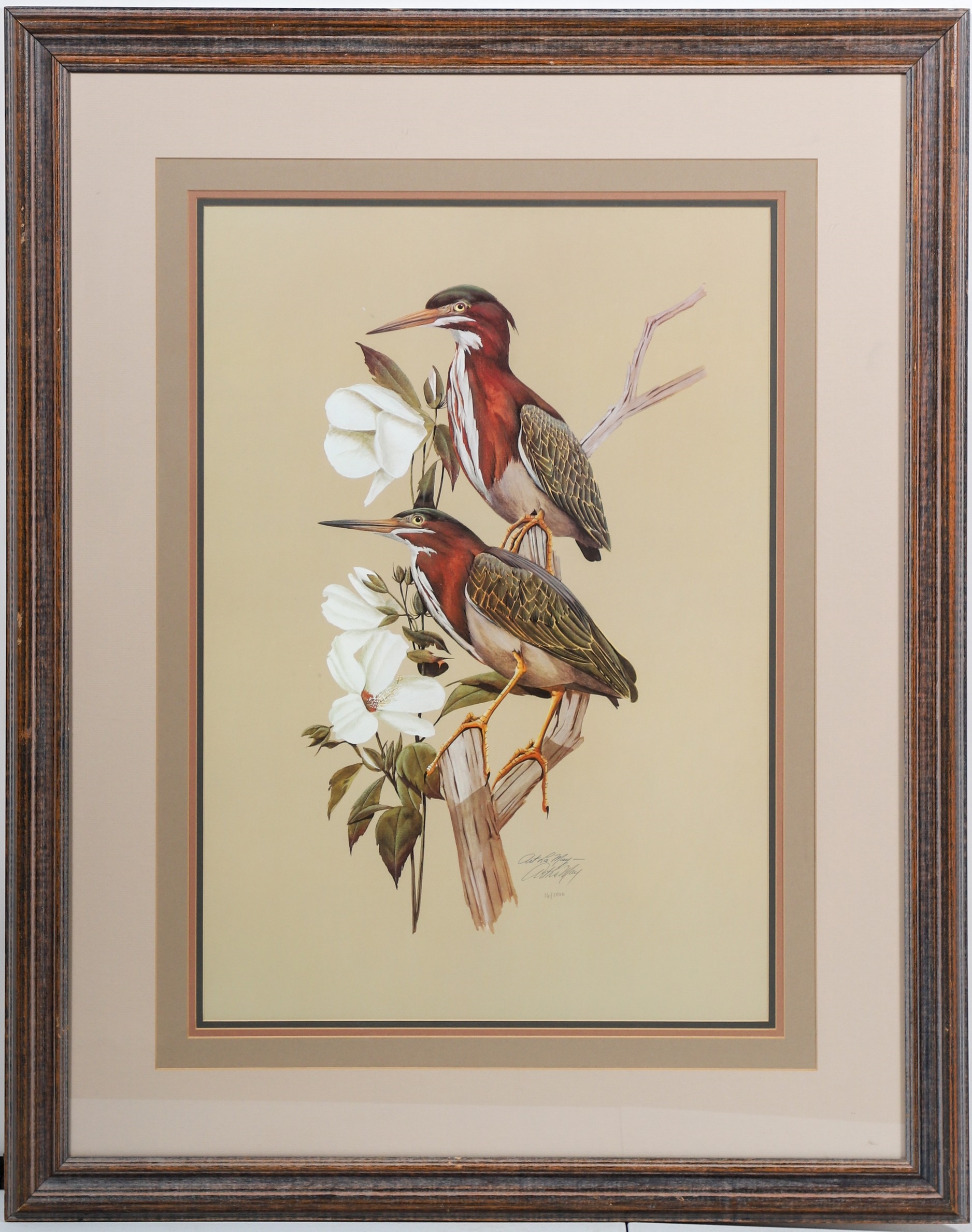 Art Lamay | framed bird print | MutualArt