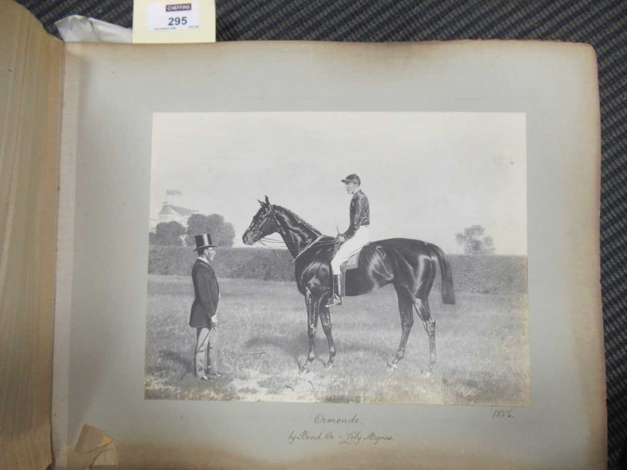 W. W. Rouch | Photographic album of racehorses | MutualArt