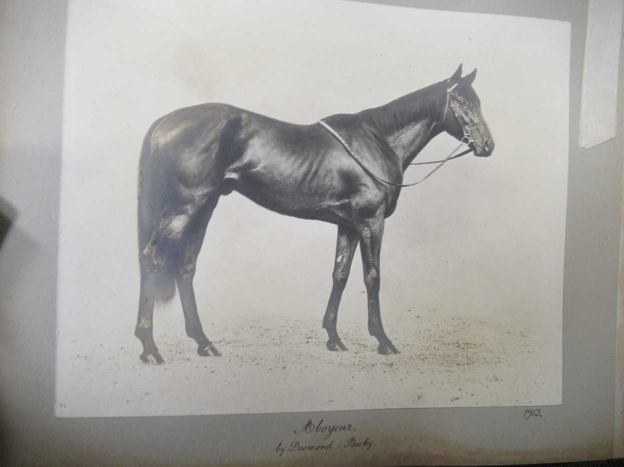 W. W. Rouch | Photographic album of racehorses | MutualArt