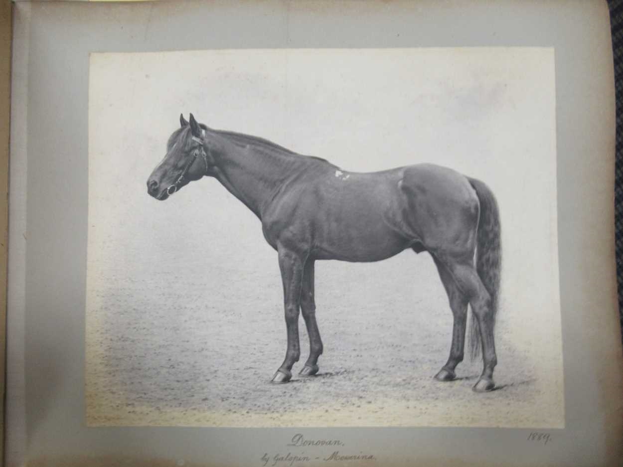 W. W. Rouch | Photographic album of racehorses | MutualArt