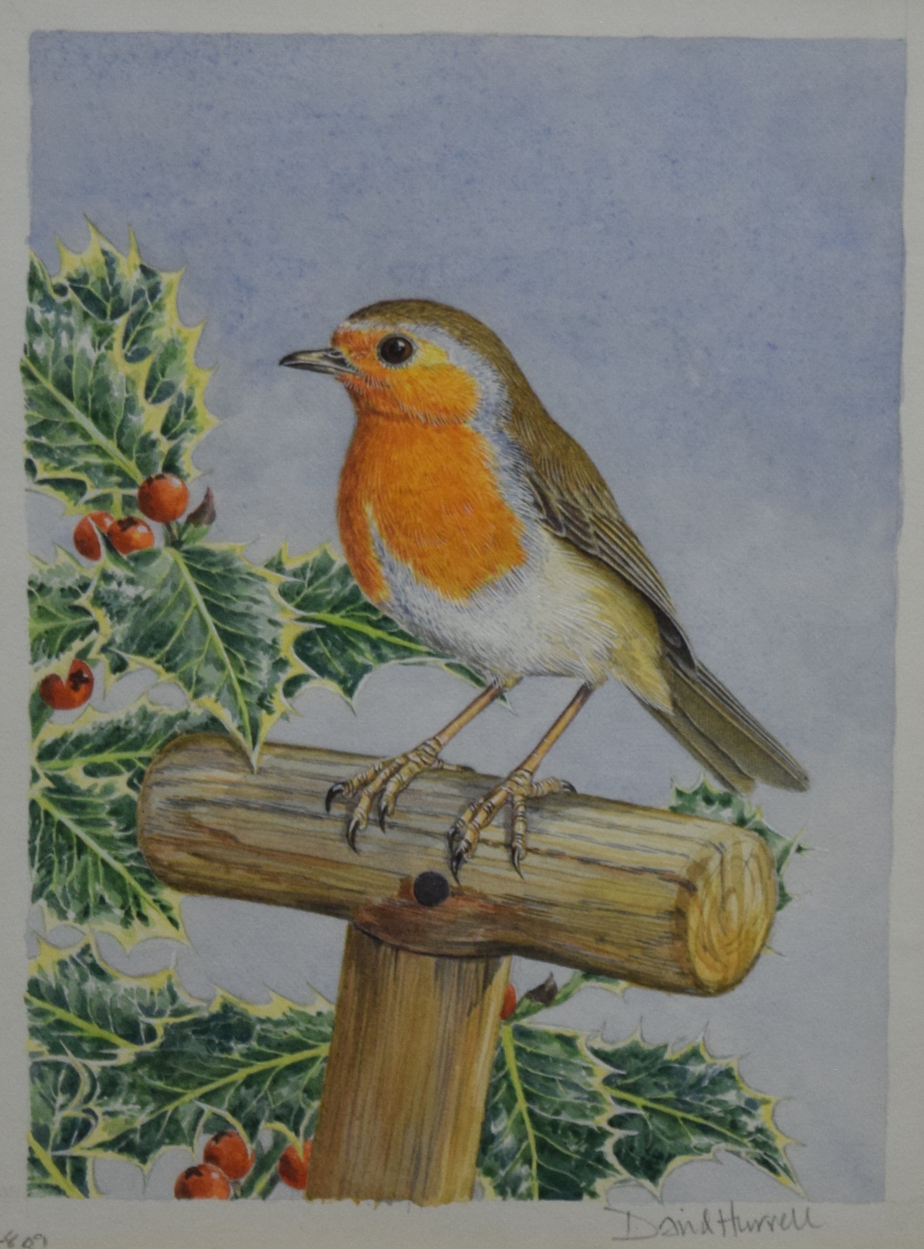 David Hurrell | Robin | MutualArt