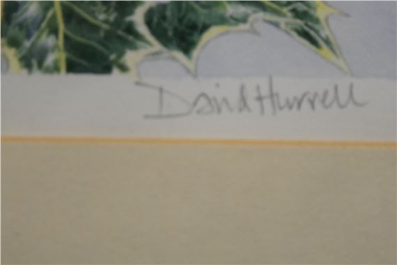 David Hurrell | Robin | MutualArt