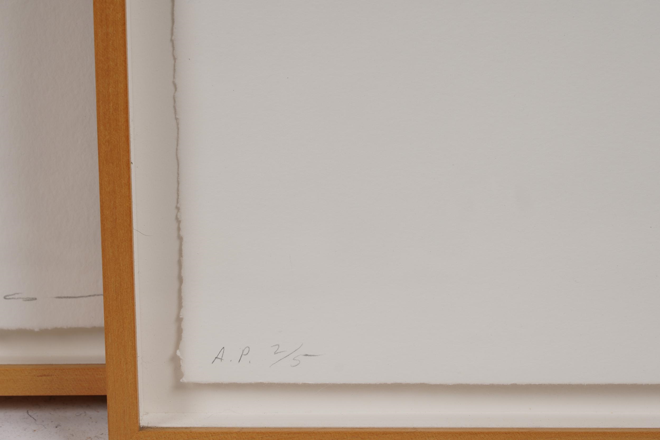 Greg Colson | TWO WORKS; The Insects (from Dockings); Pots and pans on ...