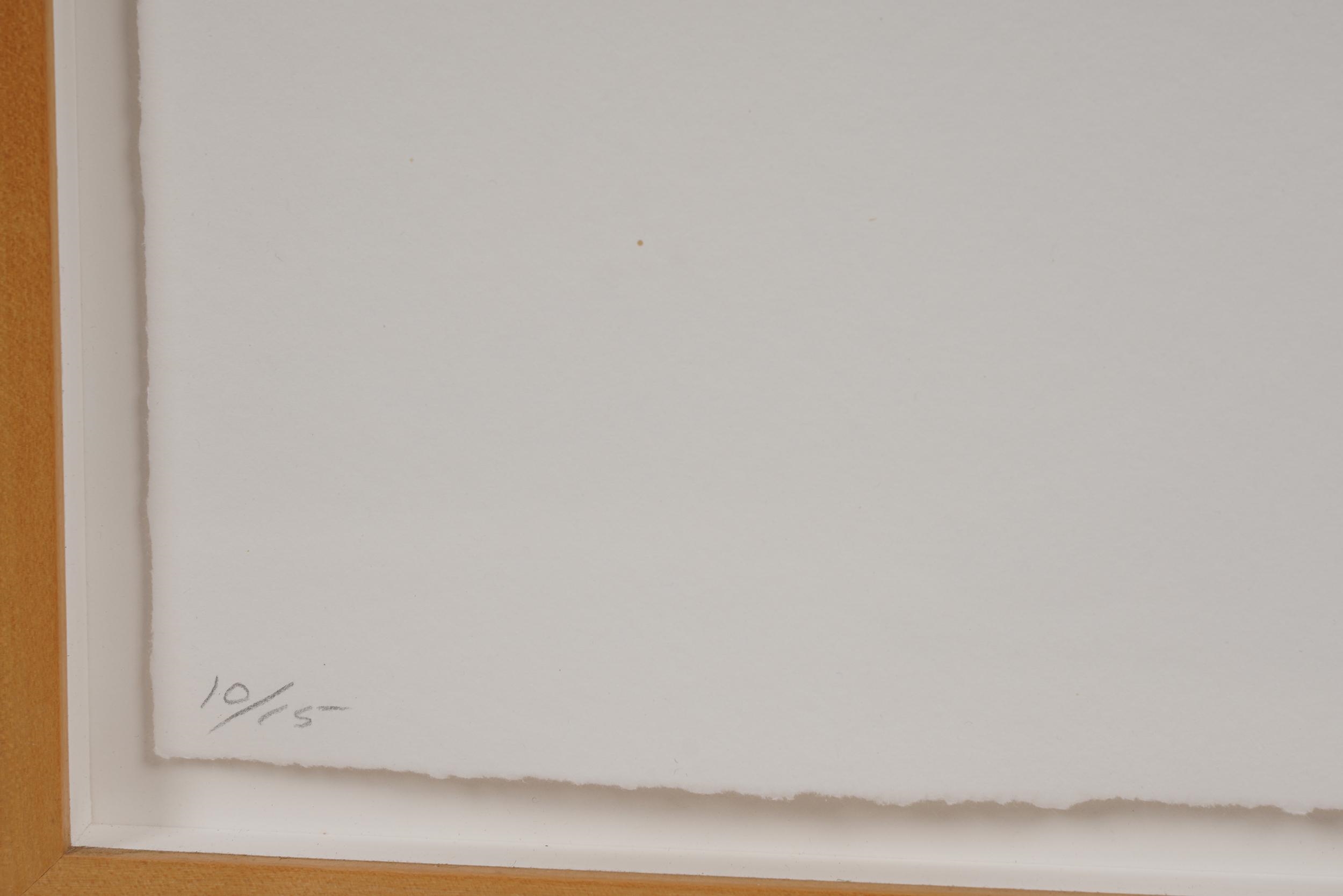 Greg Colson | TWO WORKS; The Insects (from Dockings); Pots and pans on ...