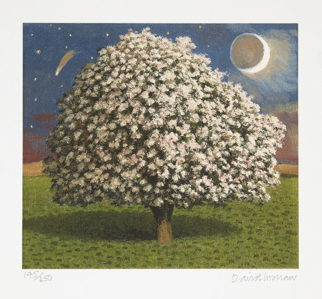 David Inshaw | Apple Tree and Moon (2010) | MutualArt