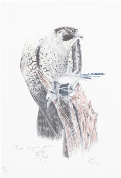 Mike Riley | Peregrine falcon (1978) | MutualArt