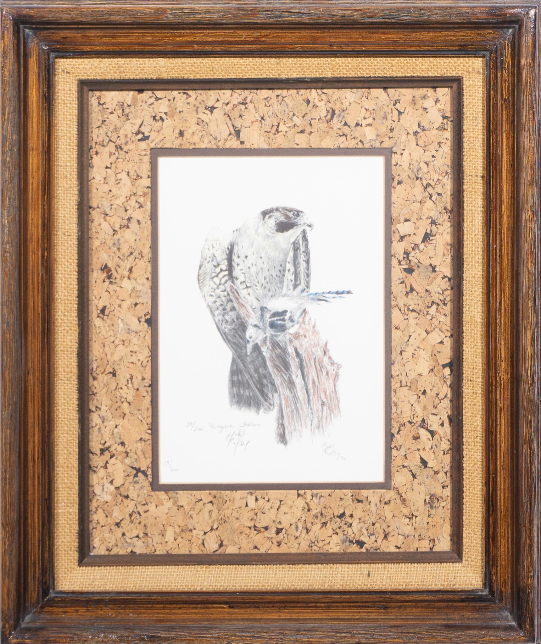 Mike Riley | Peregrine falcon (1978) | MutualArt