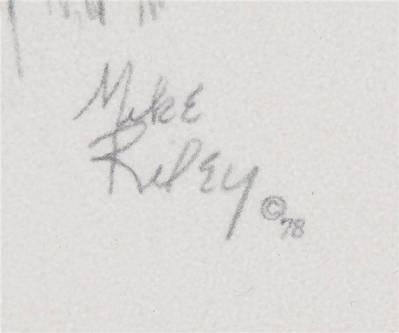 Mike Riley | Peregrine falcon (1978) | MutualArt