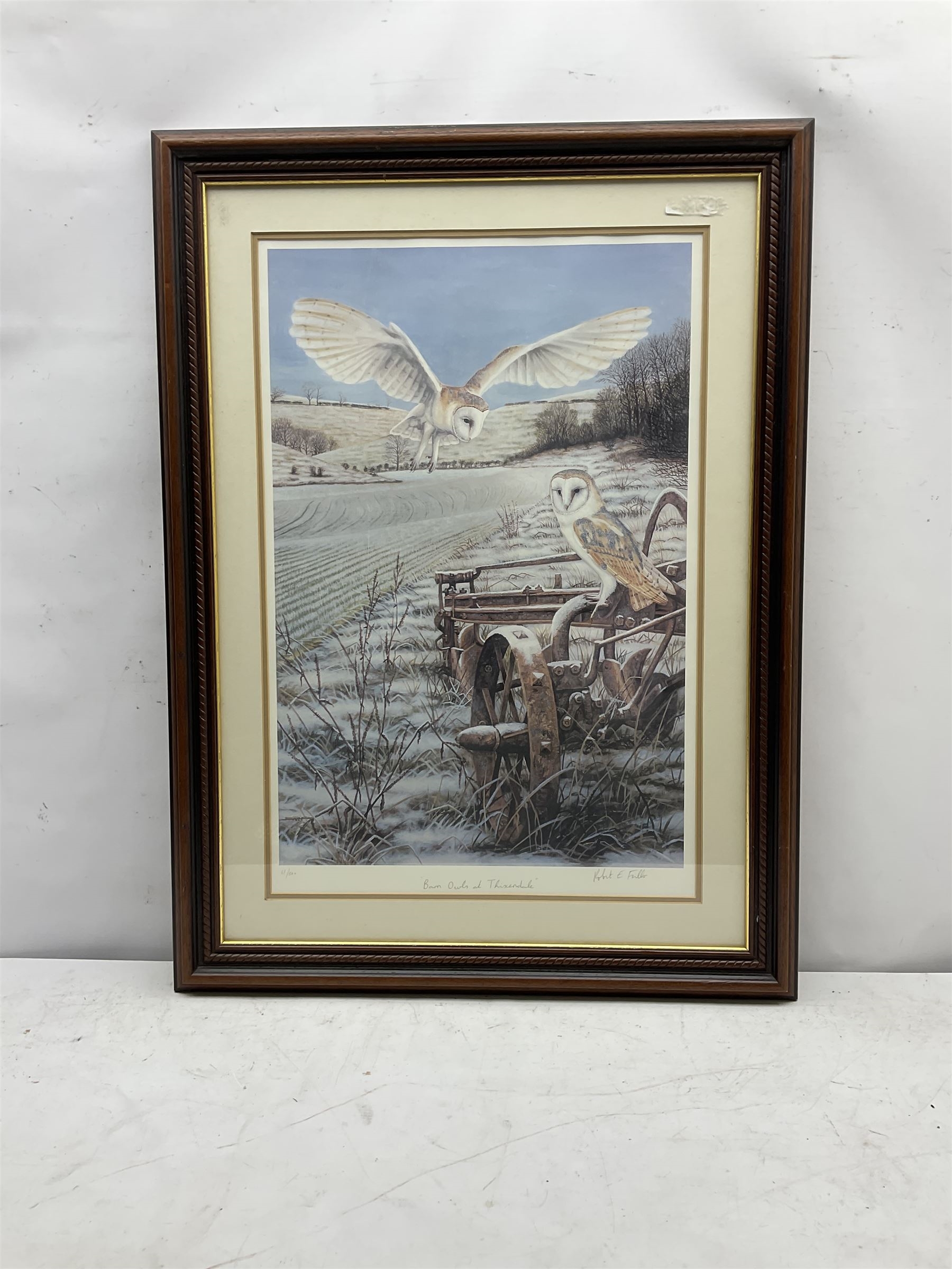 Robert E. Fuller | Barn Owls at Thixendale | MutualArt