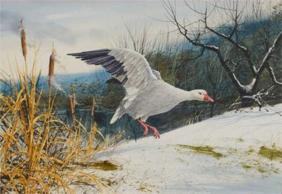Pierre Tougas | Oie des neiges (1986) | MutualArt