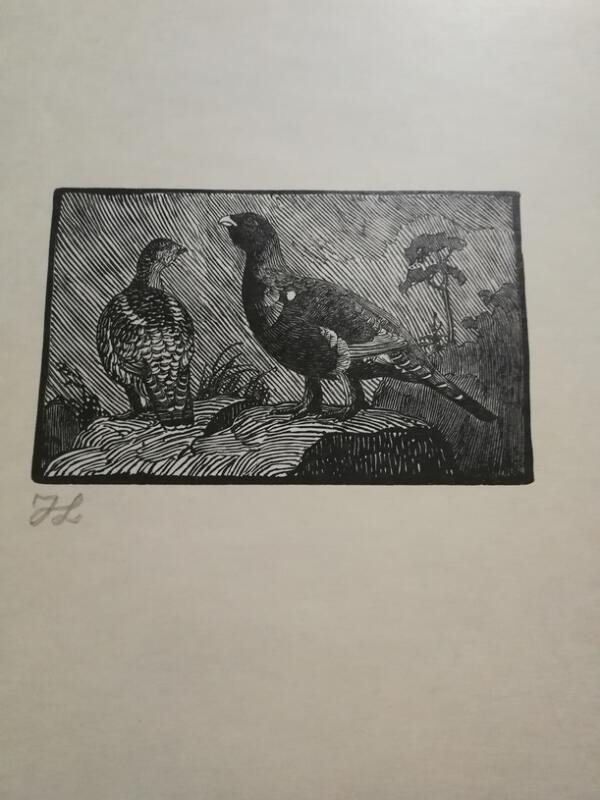 Johannes Larsen | Birds | MutualArt