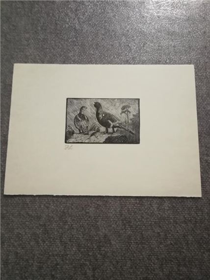 Johannes Larsen | Birds | MutualArt