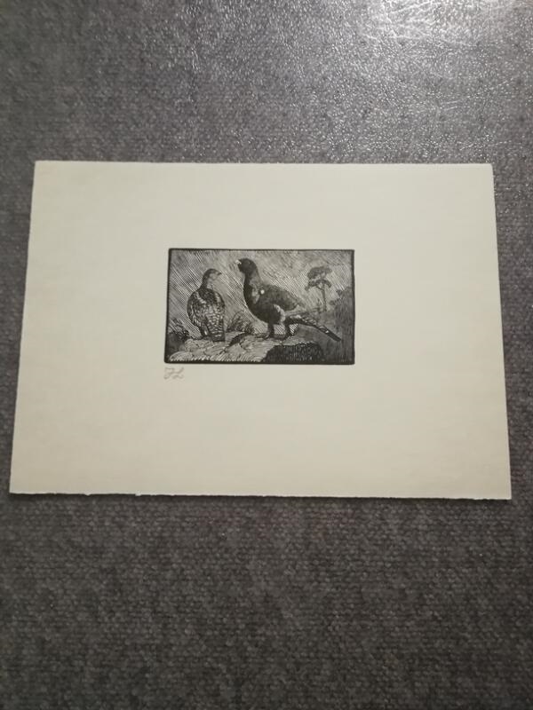 Johannes Larsen | Birds | MutualArt