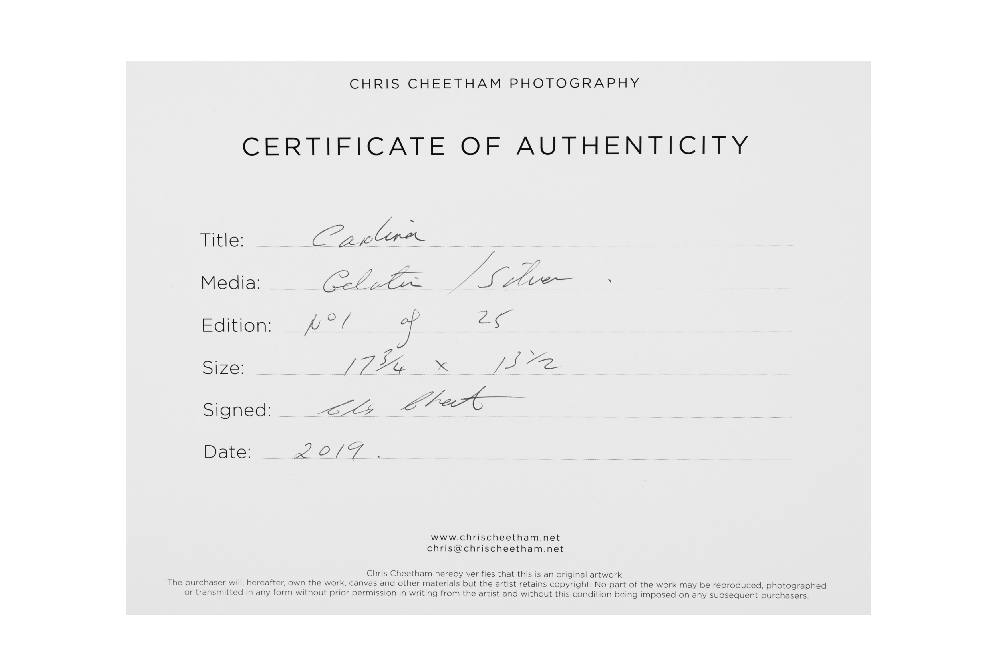 Chris Cheetham | Carolina (2019) | MutualArt