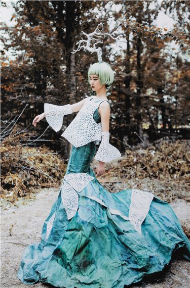 Aobo Wang | 2 Artworks at Auction | MutualArt