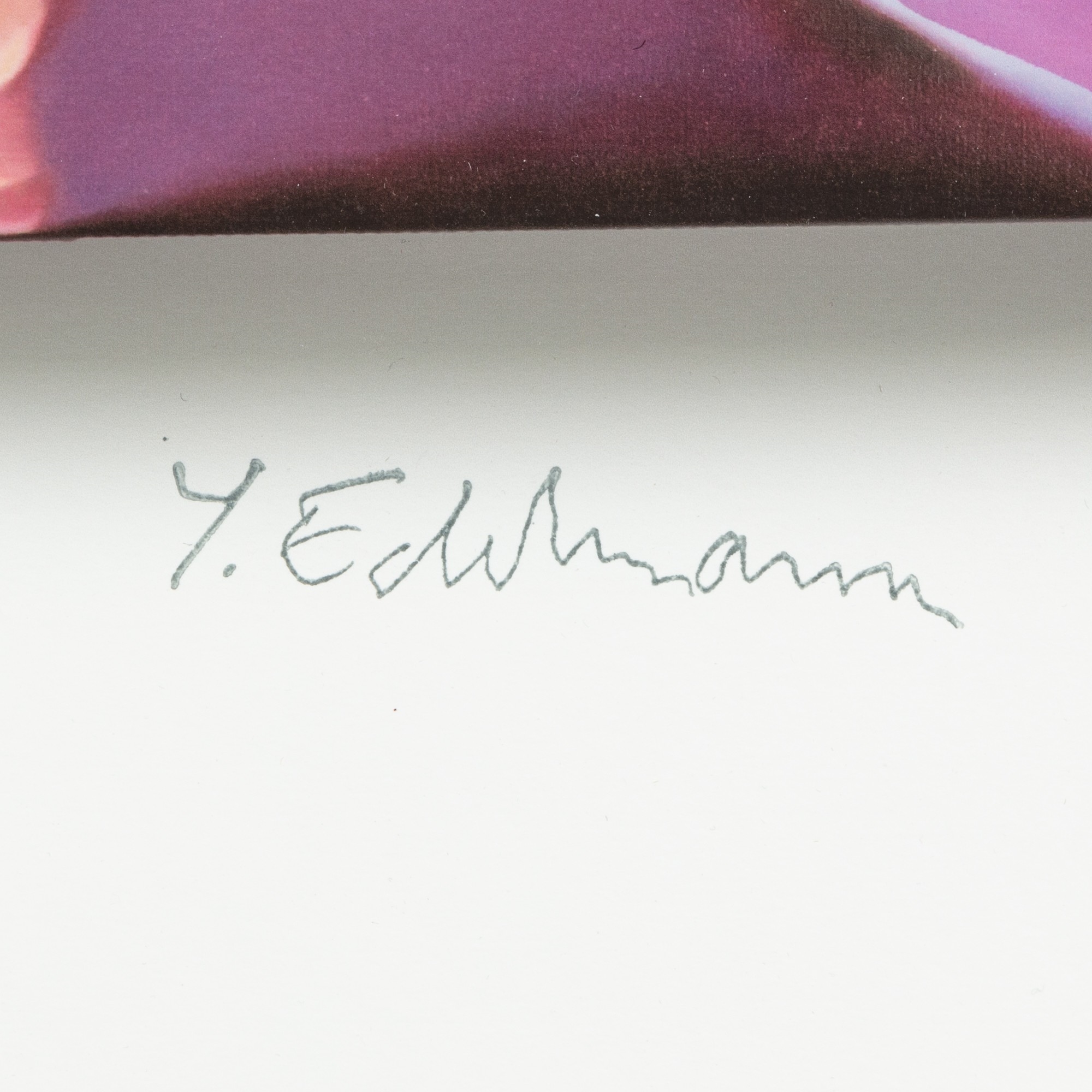 Yrjo Edelmann | Magenta parcel | MutualArt