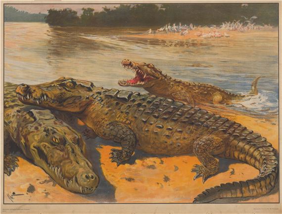 German School, 20th Century | Krokodil | MutualArt
