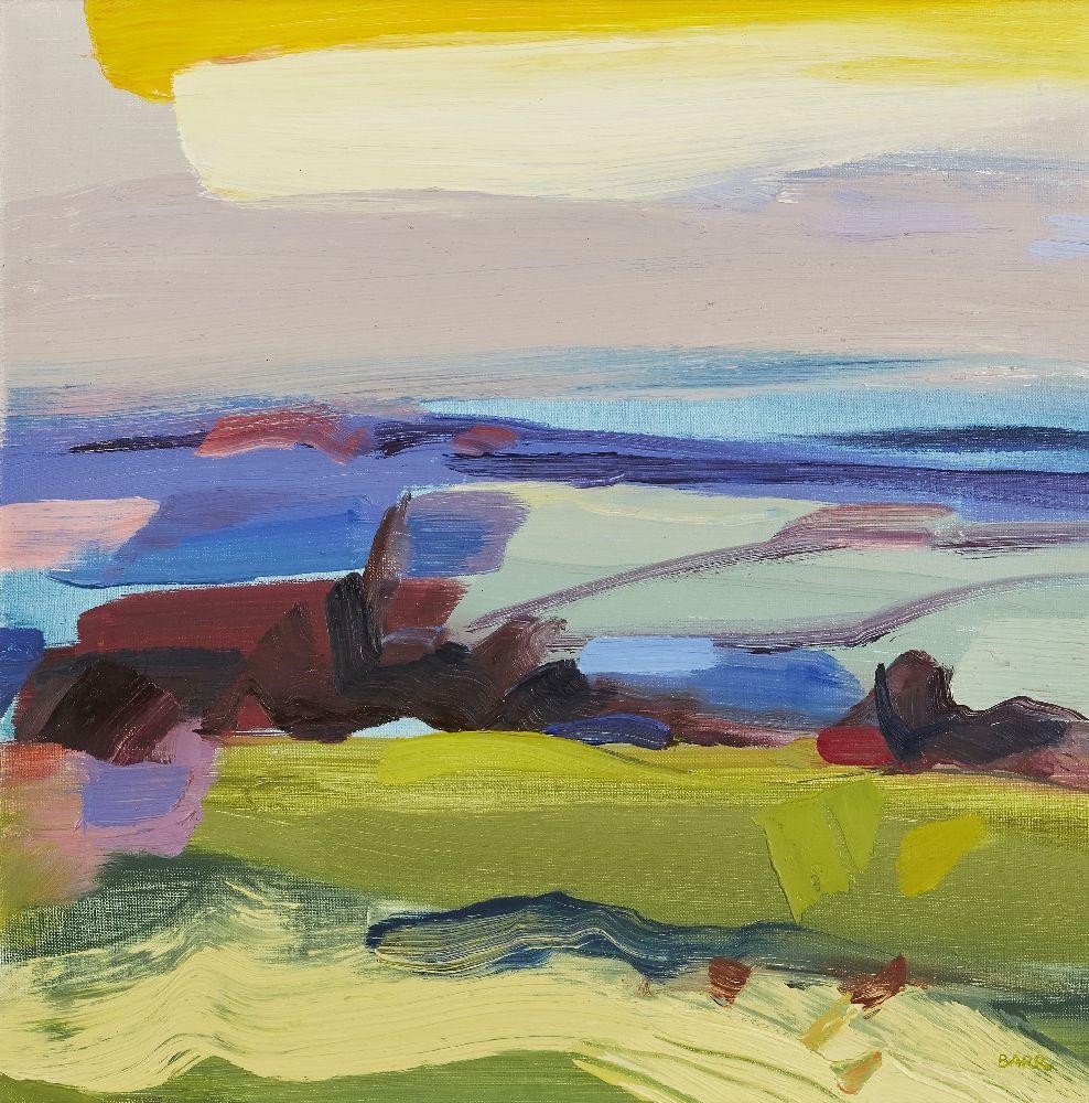 Shona Barr | As Far As the Eye Can See | MutualArt