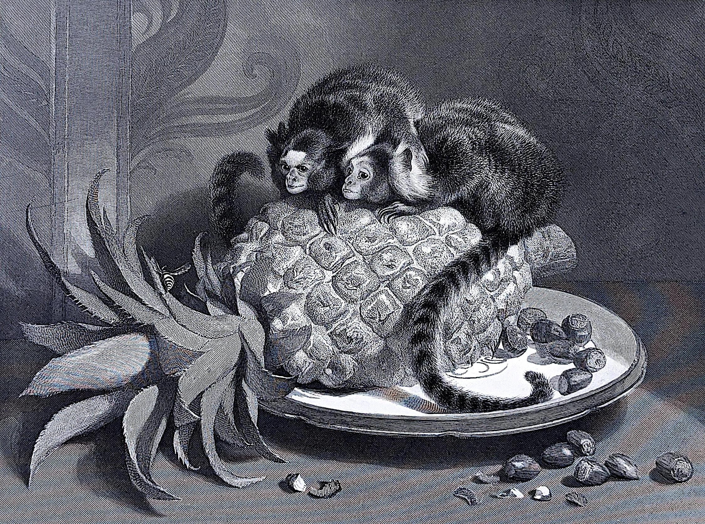 Edwin Landseer | The Marmozettes (1855) | MutualArt