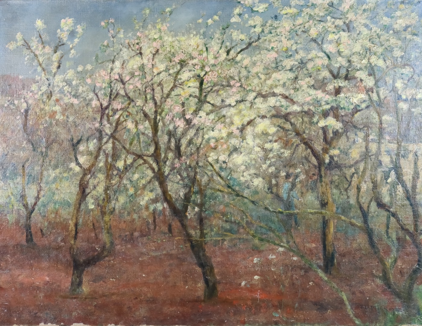 D. Mackenzie | Blossom trees | MutualArt