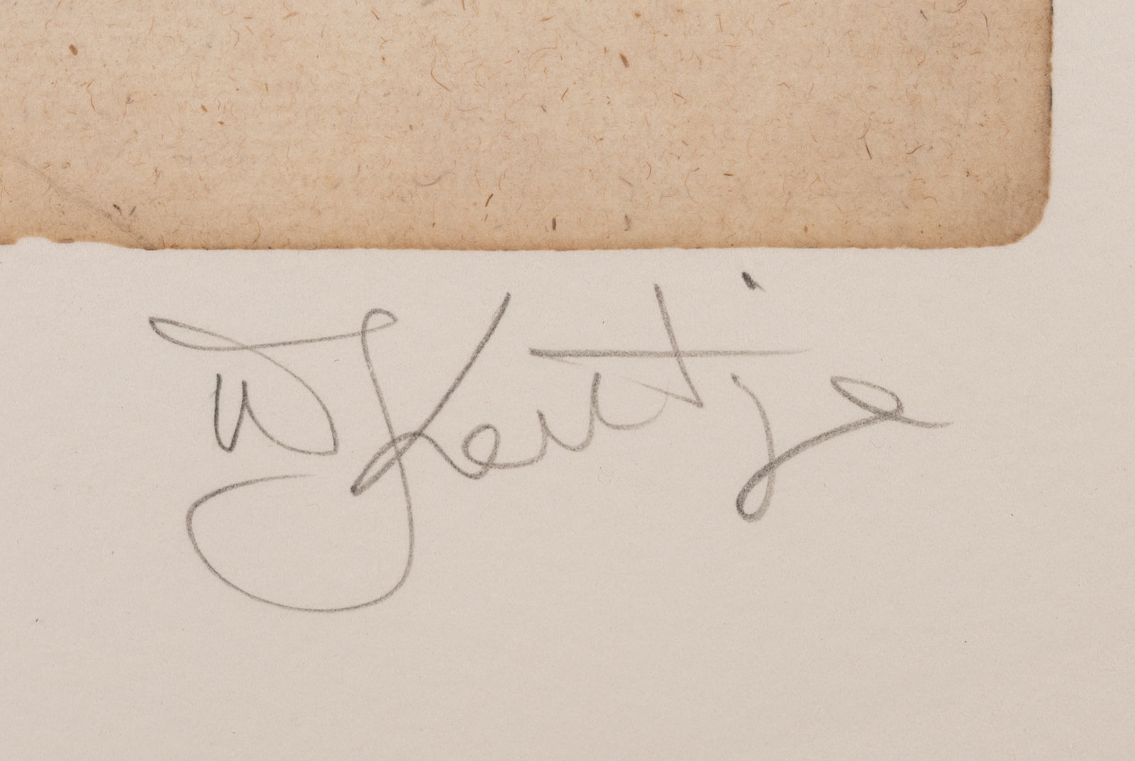 William Kentridge | Leviathan (Arc Shadow Procession) (2000) | MutualArt