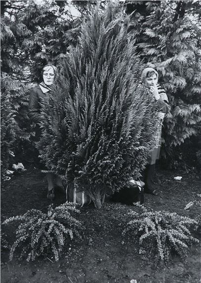 Tom Grace | 1 Exhibitions and Events | MutualArt