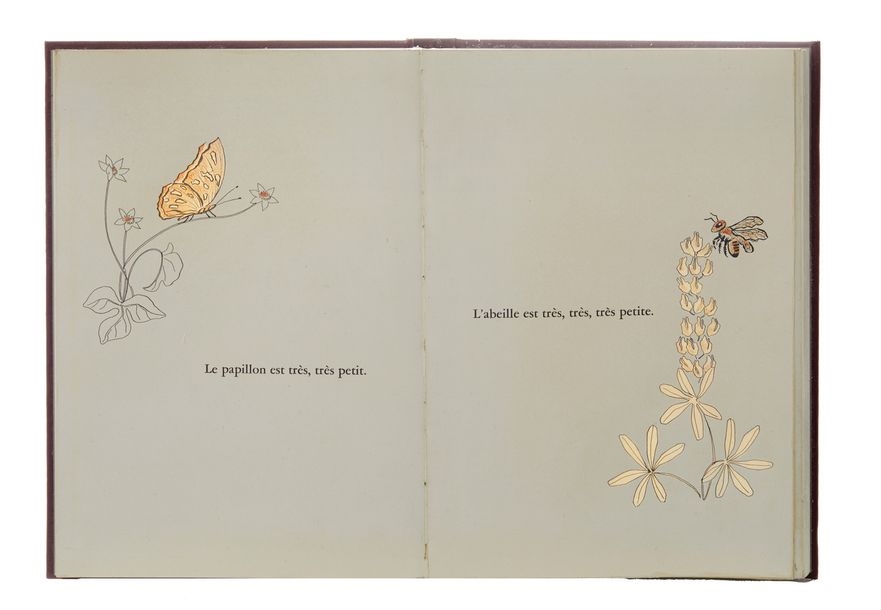 Ian Carr-Harris | Petit et Très (2002) | MutualArt