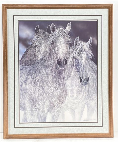 Judy Larson | The Vanishing | MutualArt