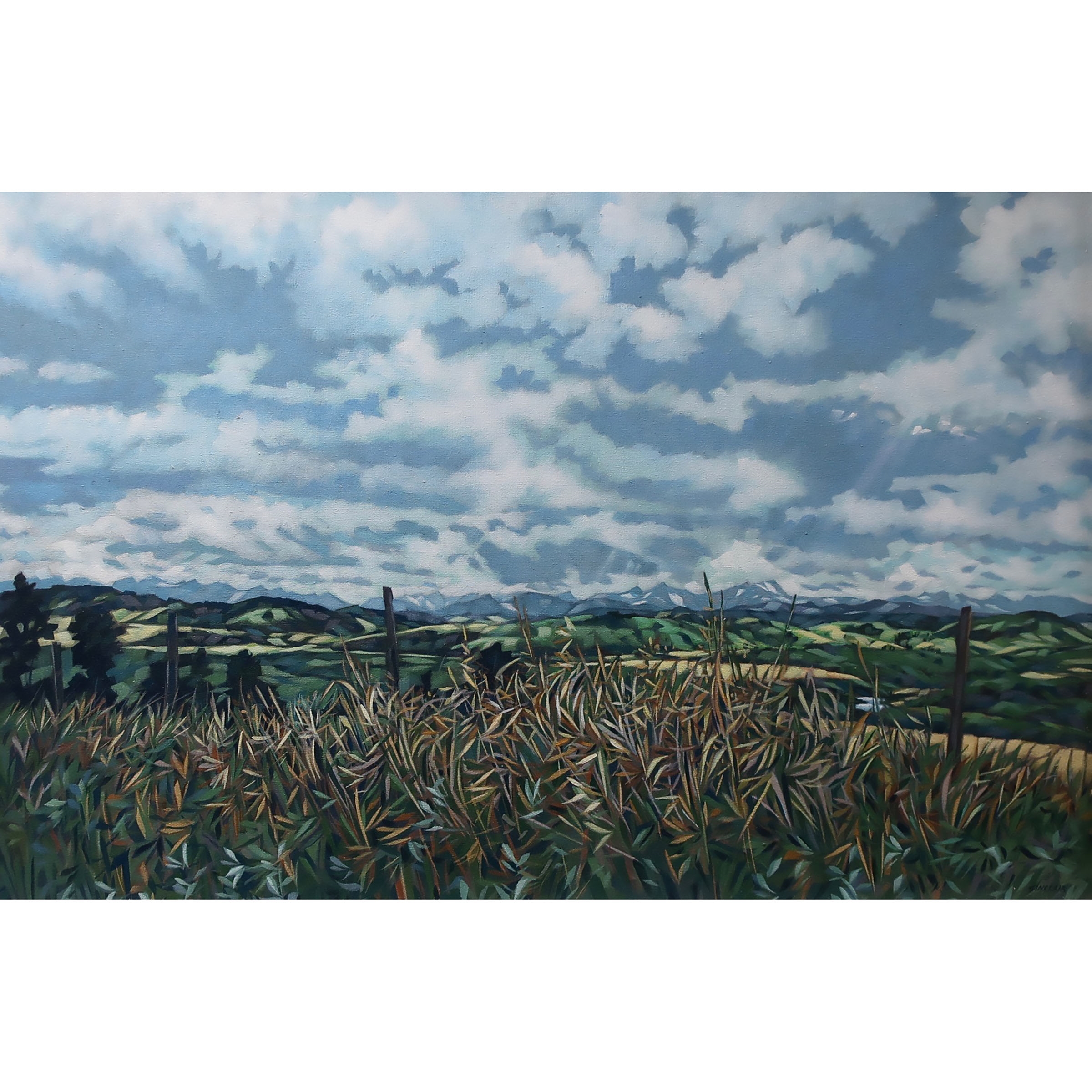 Deborah Lougheed Sinclair | TONGUE CREEK (1993) | MutualArt