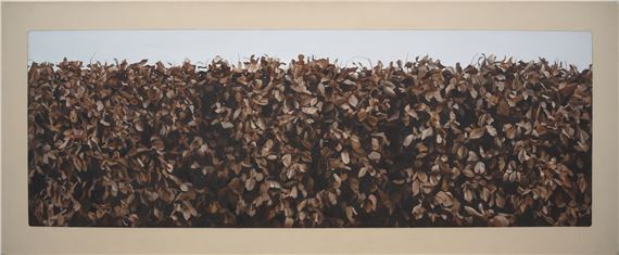 William Delafield Cook | A Hedge (1974) | MutualArt