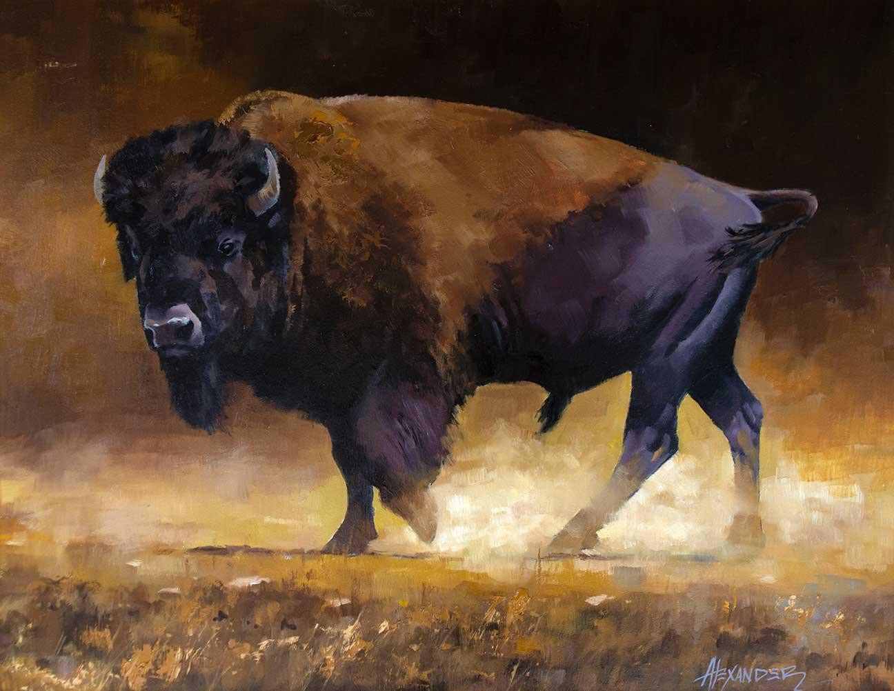 Colin Alexander | Jeune orientale aux soques de hammam | MutualArt