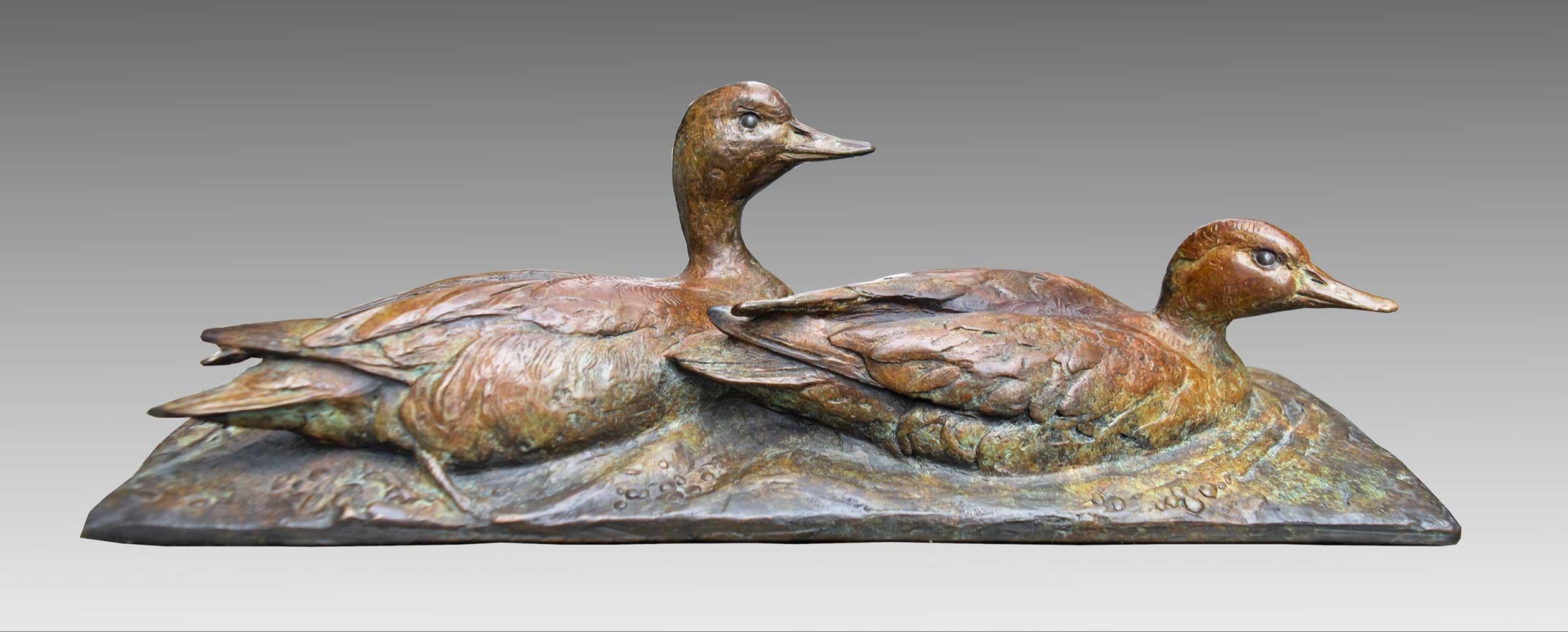 Walter Matia | Green Wing Teal | MutualArt