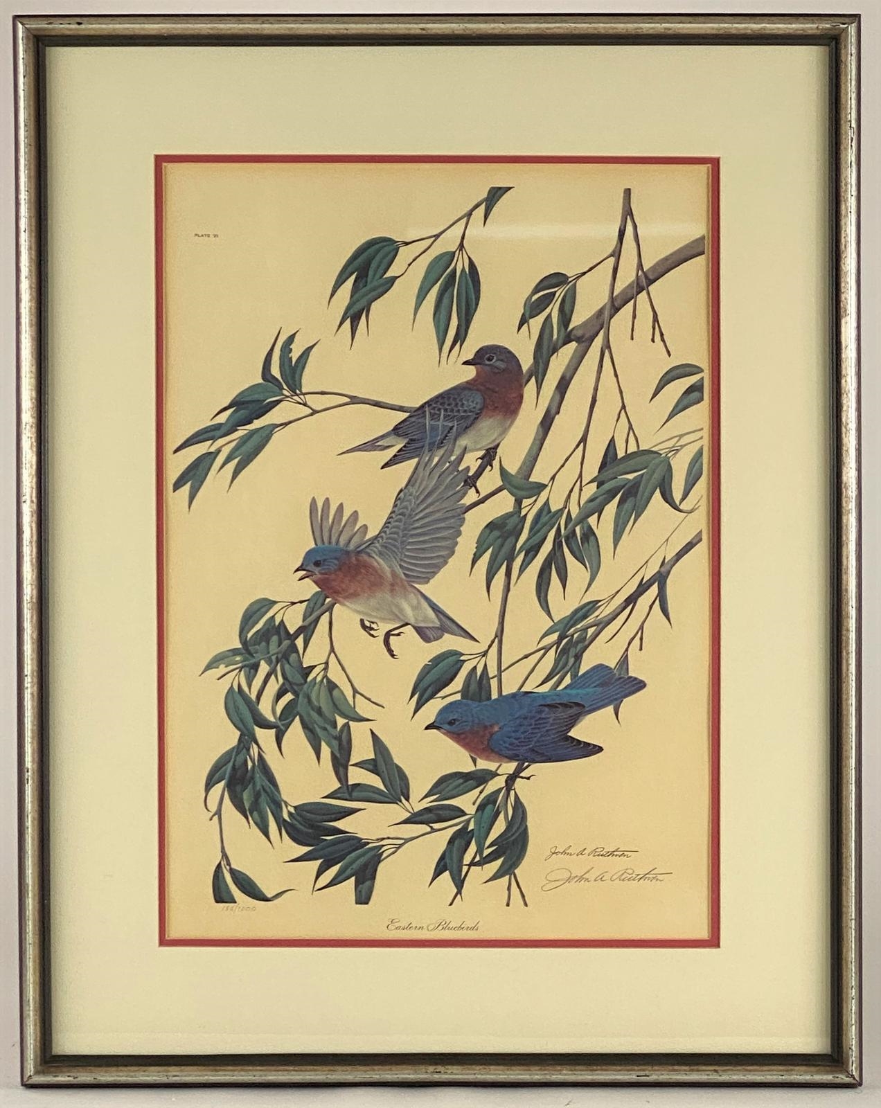 John Ruthven | EASTERN BLUEBIRDS | MutualArt