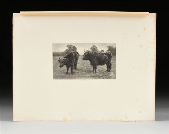 Rosa Bonheur | A GROUP OF TWELVE ENGRAVINGS (1878) | MutualArt