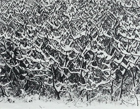 J. Barry Thompson | Sumacs in Snow | Compare similar artworks | MutualArt