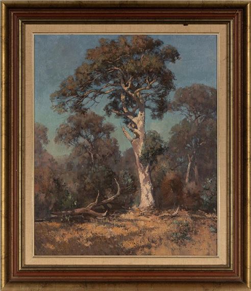 R. Simpson | Scribbly Gum Sussex Inlet | MutualArt