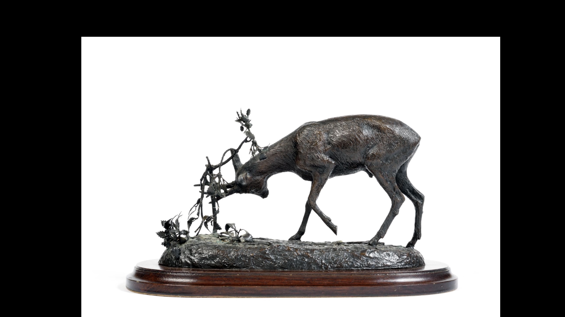 Josechu Lalanda | Brocard rubbing the woods | MutualArt