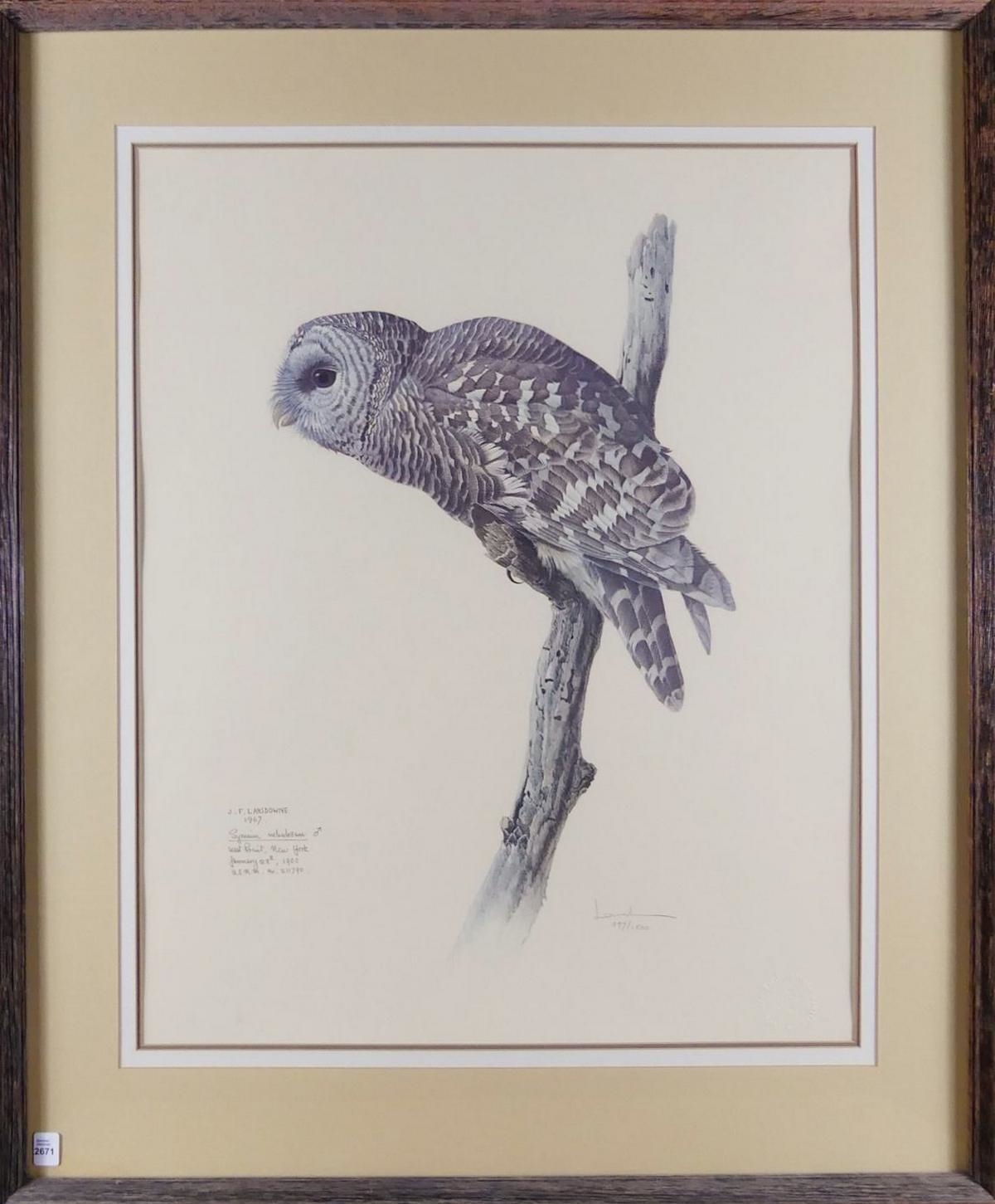 James Fenwick Lansdowne | Barred Owl | MutualArt